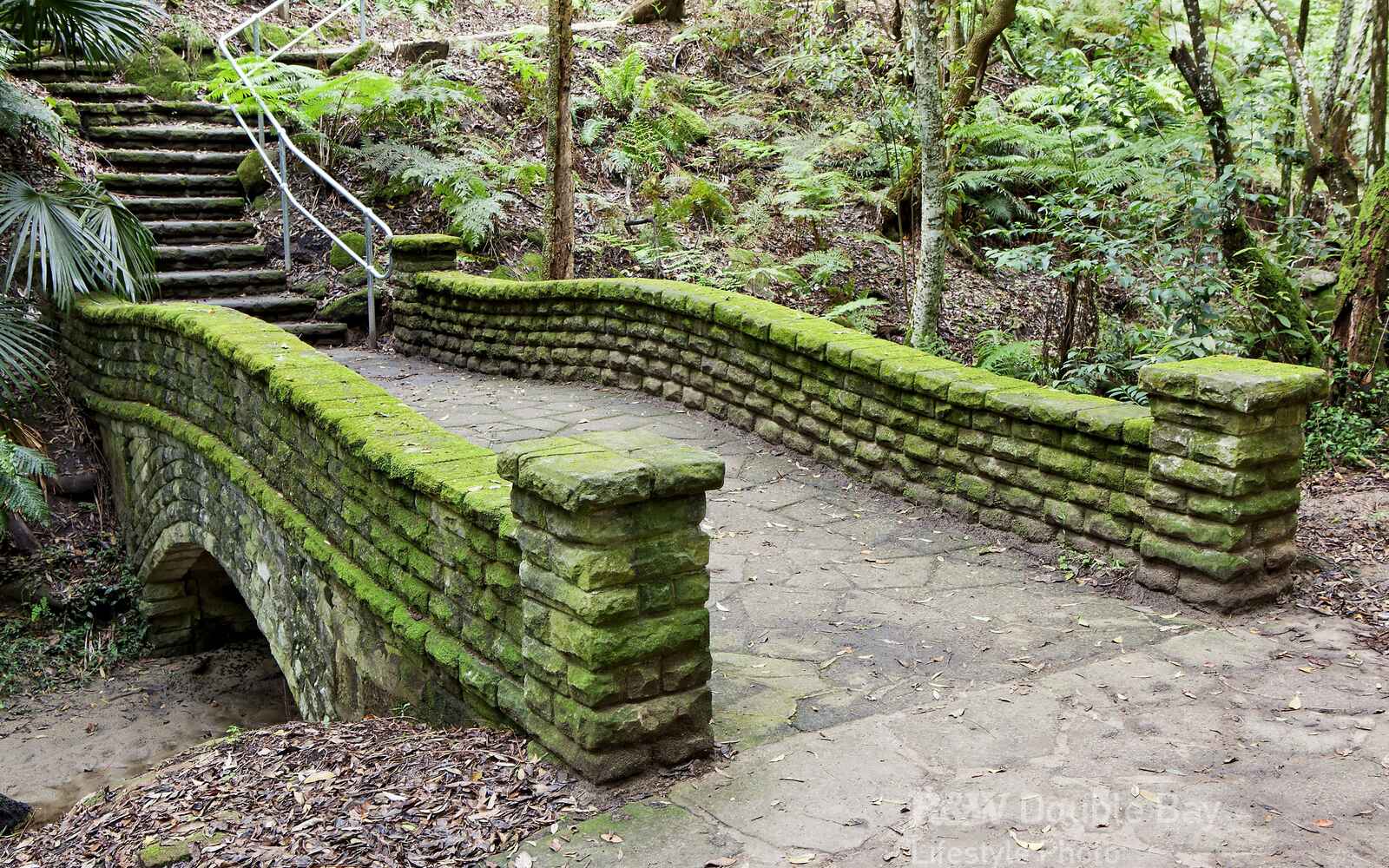 House For Sale - 47 Grosvenor Street Woollahra